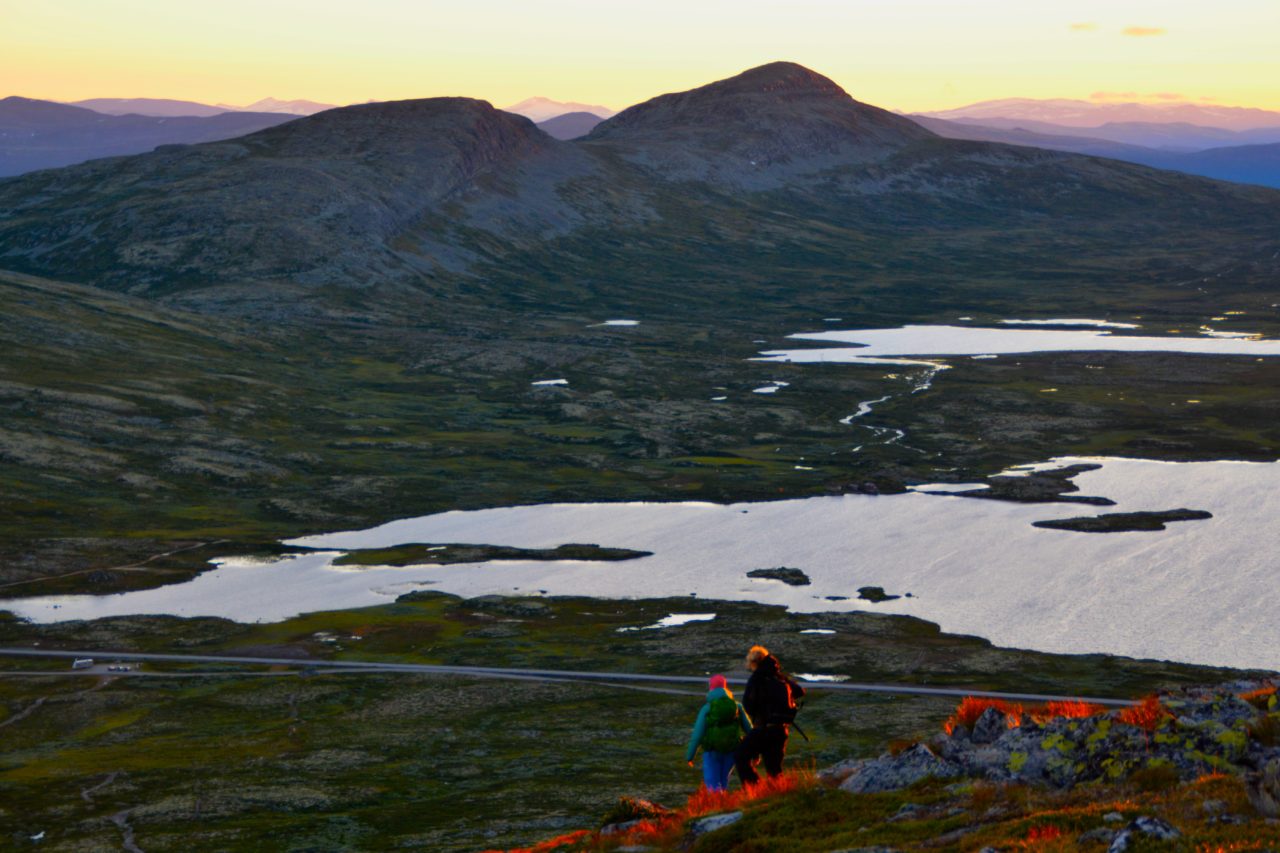 Muen - Venabygdsfjellet